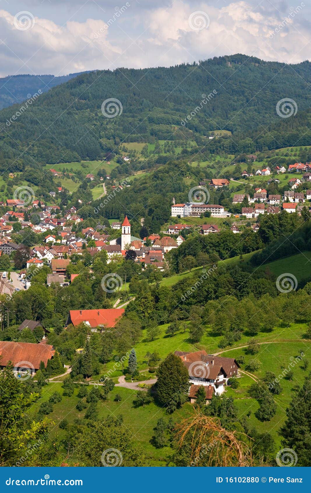 Villaggio Tipico Nella Foresta Nera Fotografia Stock - Immagine di nero ...