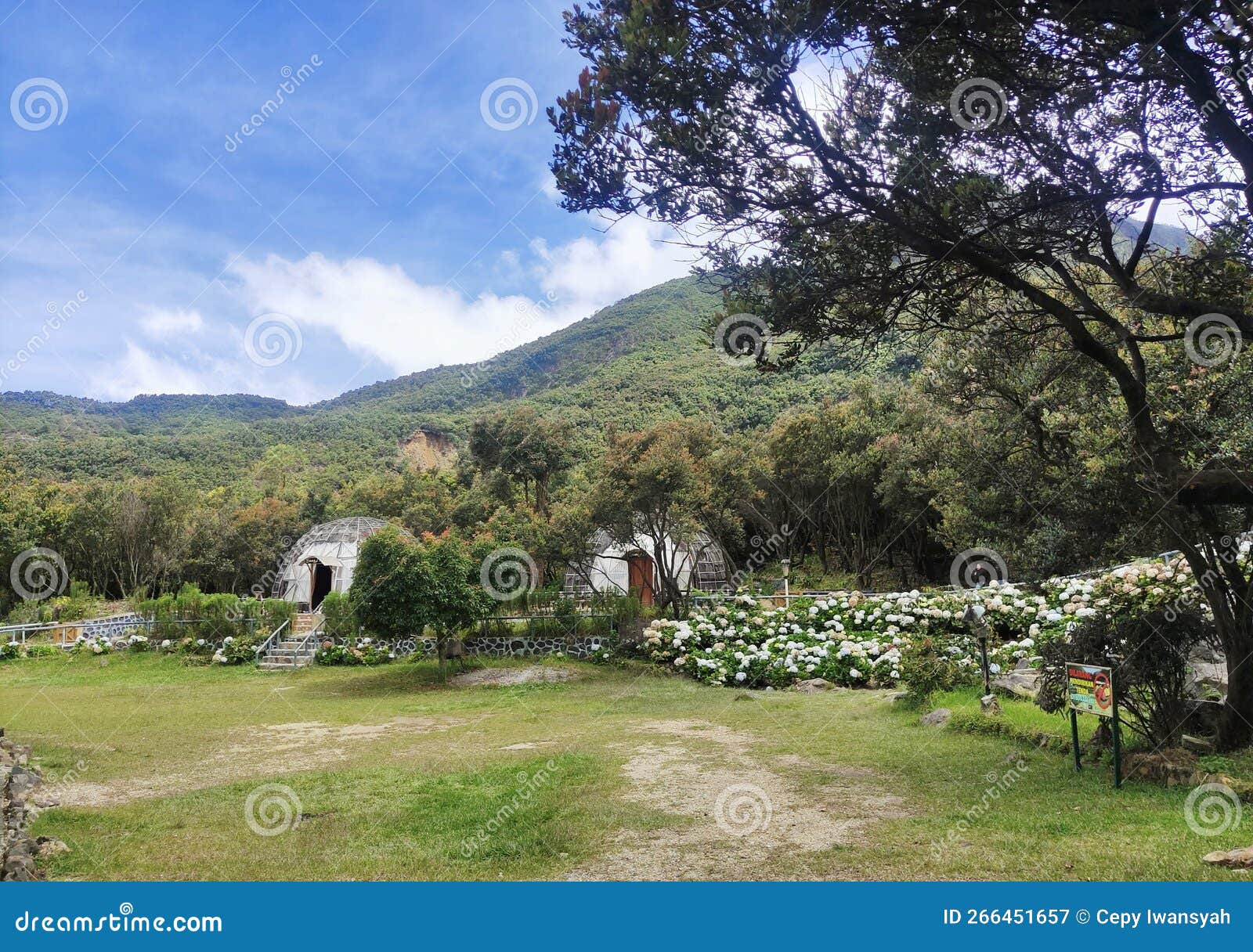 Villas at Papandayan Mountains Stock Image - Image of villa, mountains ... Villas at Papandayan Mountains Stock Image - Image of villa, mountains ...