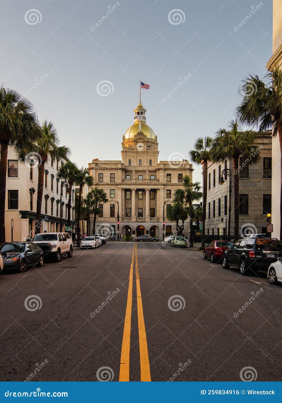 Ville De Savannah Plan Vertical Du Centre-ville Photo éditorial - Image ...