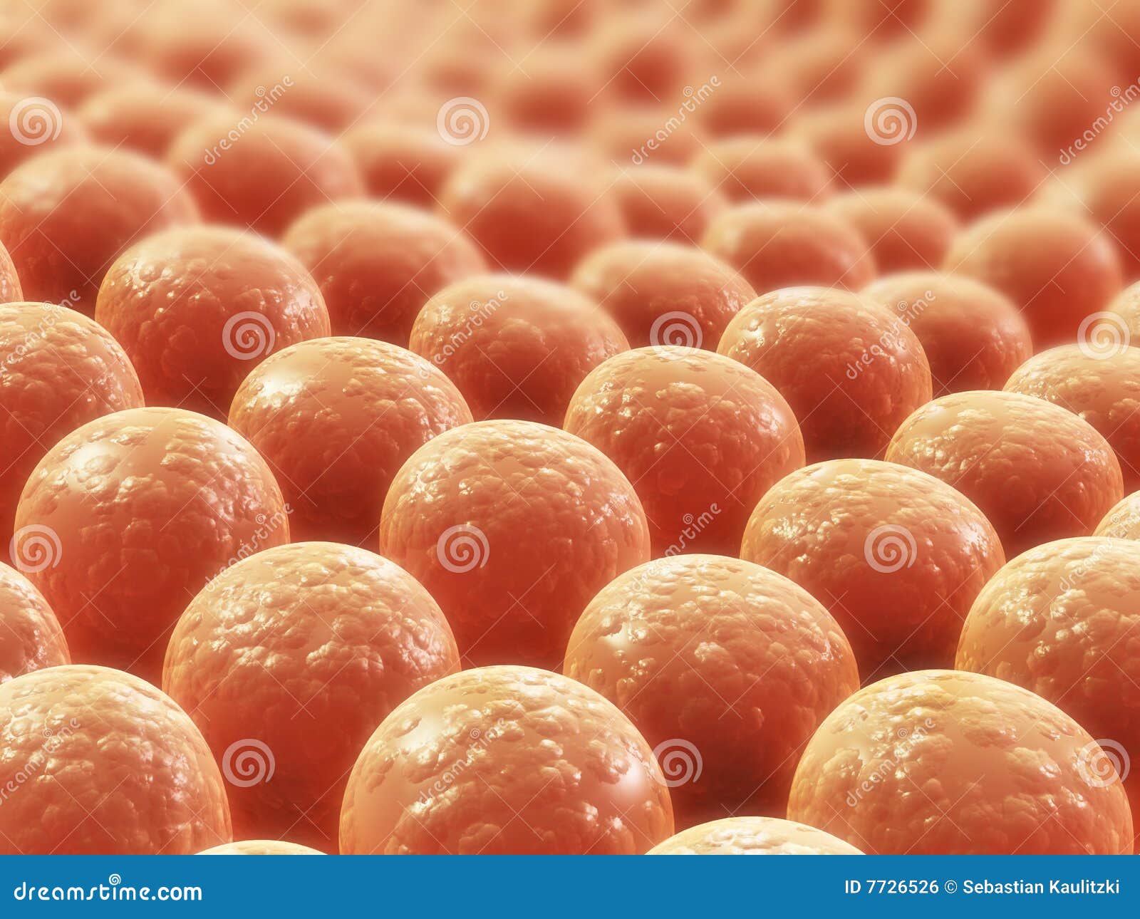 Villie stock illustration. Illustration of biology, cancer - 7726526