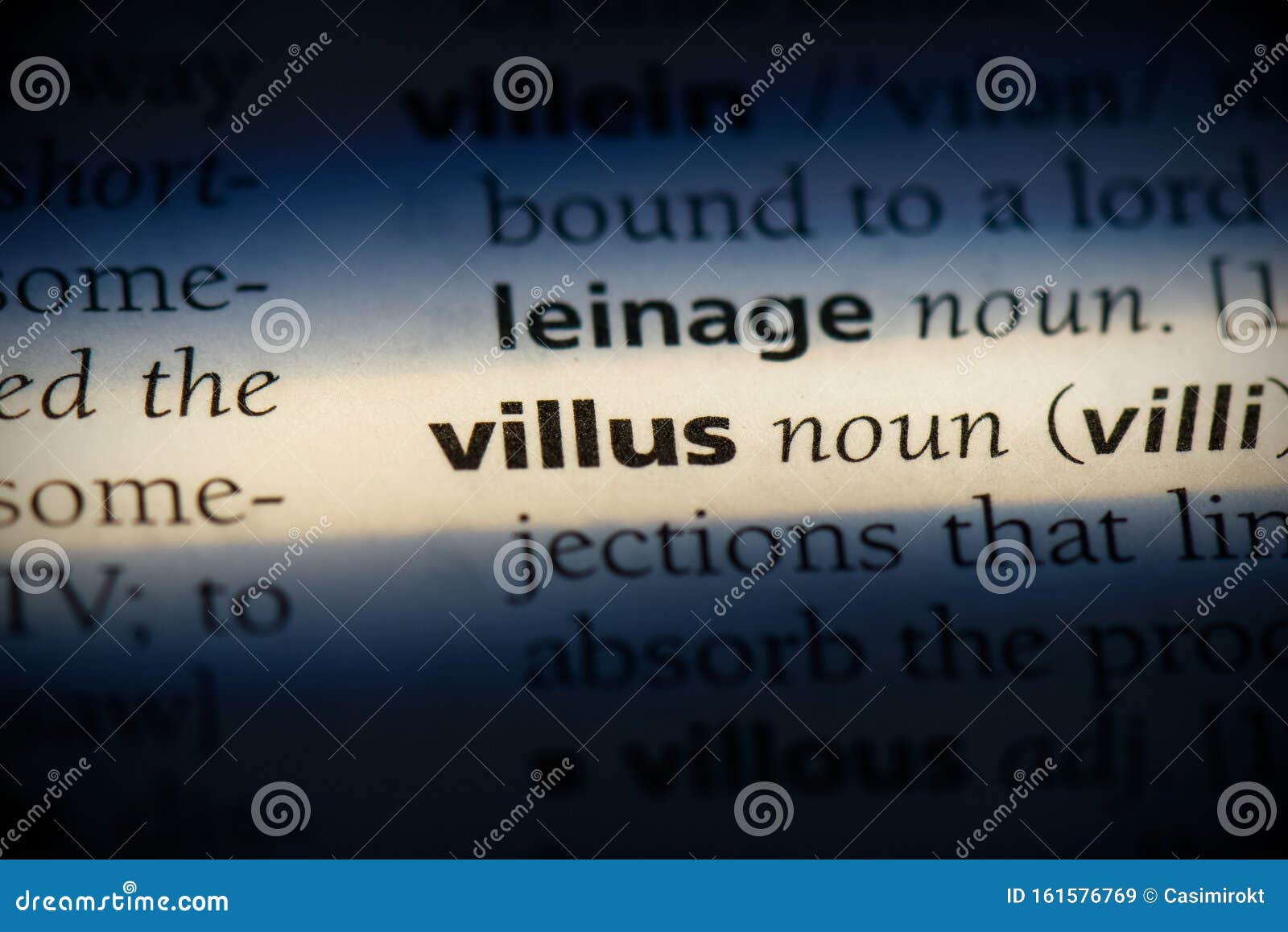 Villus stock image. Image of reference, highlight, book - 161576769