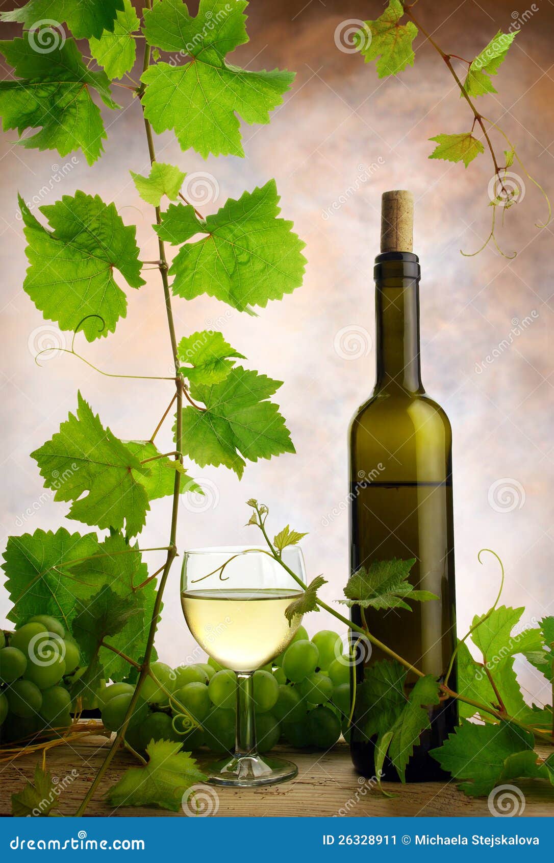 Vin et vigne image stock. Image du batterie, agencement - 26328911