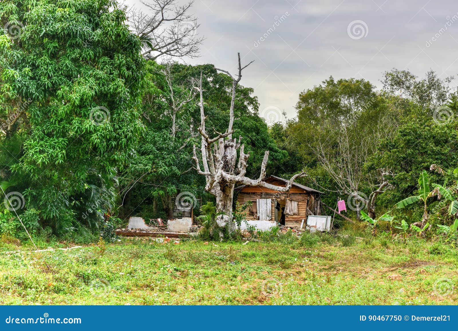 Vinales, Cuba Farm House stock photo. Image of mountain - 90467750