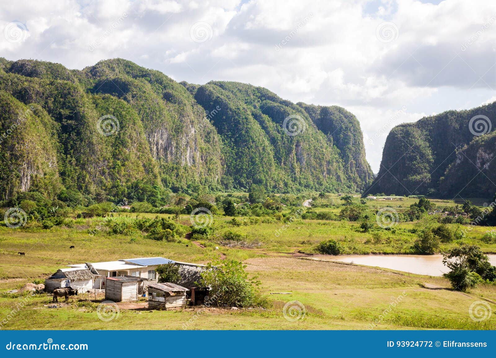 Vinales, Cuba stock photo. Image of site, tropical, overcast - 93924772