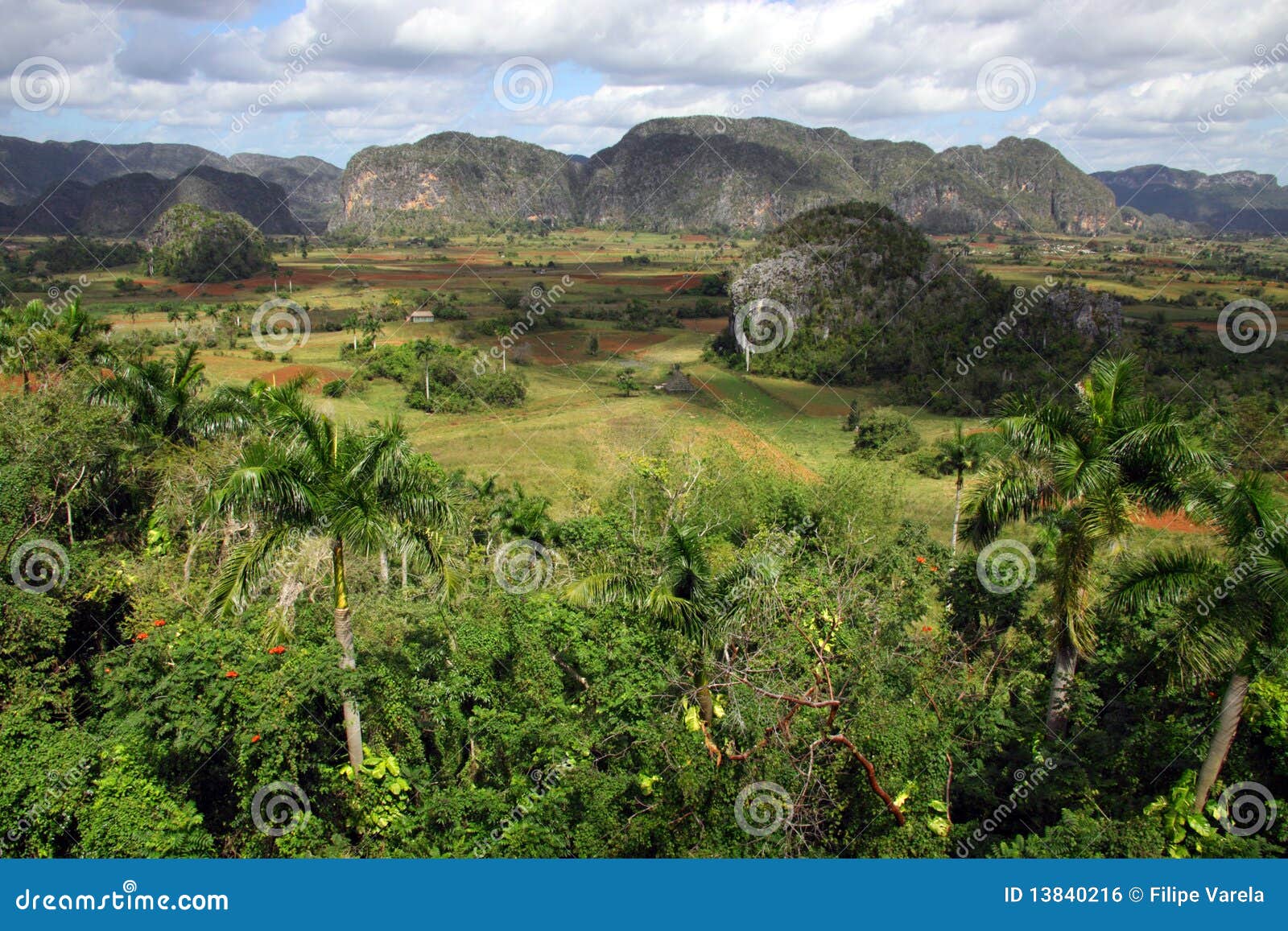 Vinales Tal, Kuba stockfoto. Bild von tourismus, blatt - 13840216