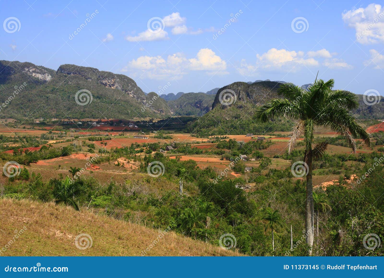 The Vinales Valley stock image. Image of latin, landmark - 11373145