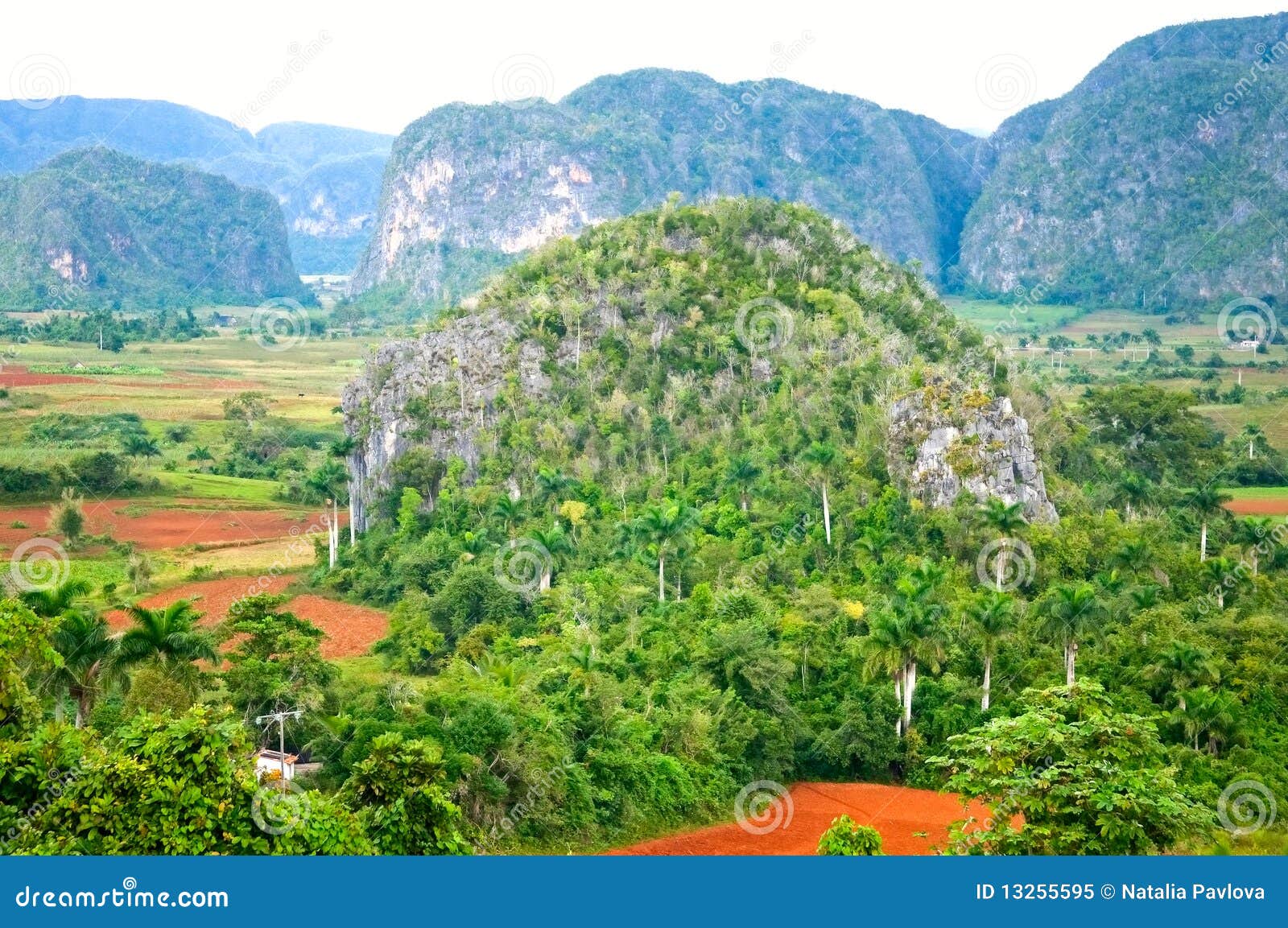 Vinales valley stock image. Image of horizontal, mountain - 13255595