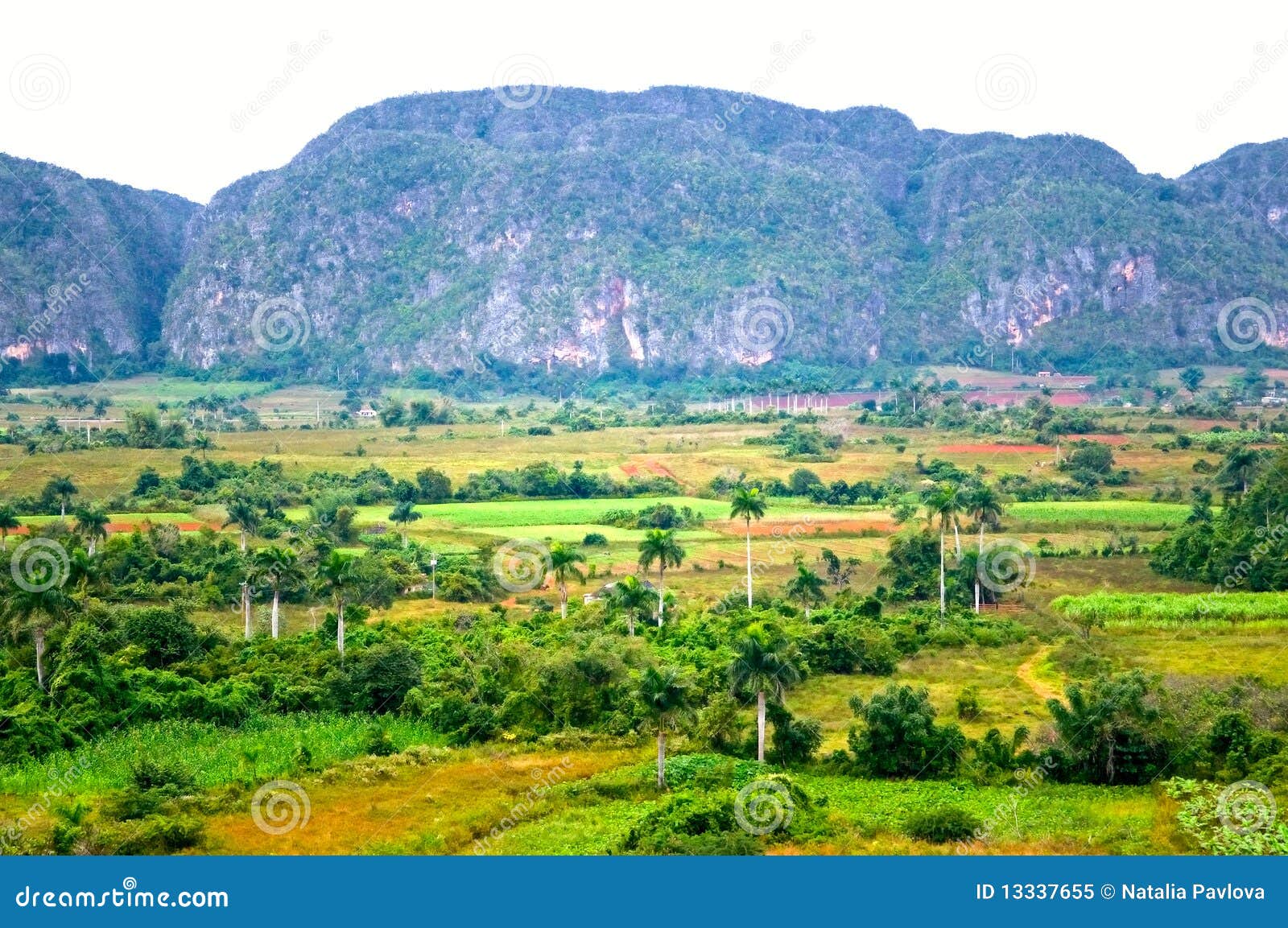 Vinales valley stock image. Image of majestic, cuban - 13337655