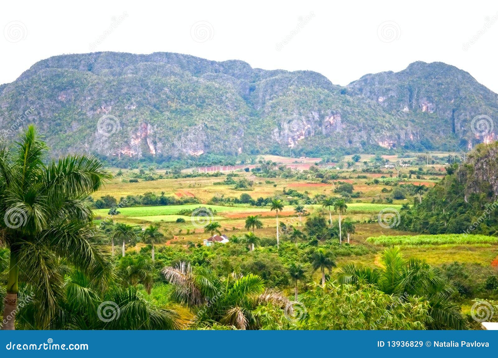 Vinales valley stock image. Image of mountain, village - 13936829