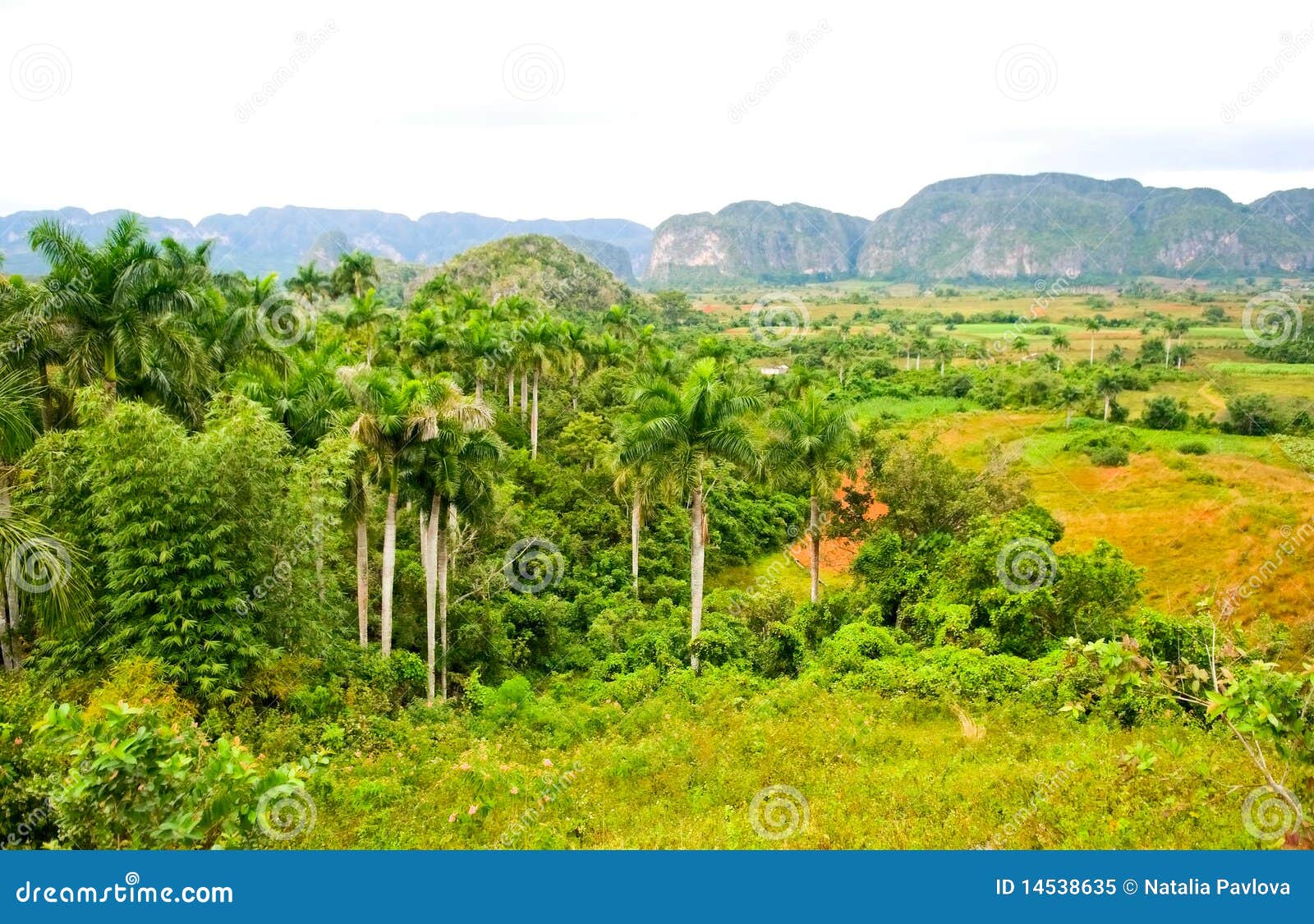 Vinales valley stock image. Image of hill, landscape - 14538635