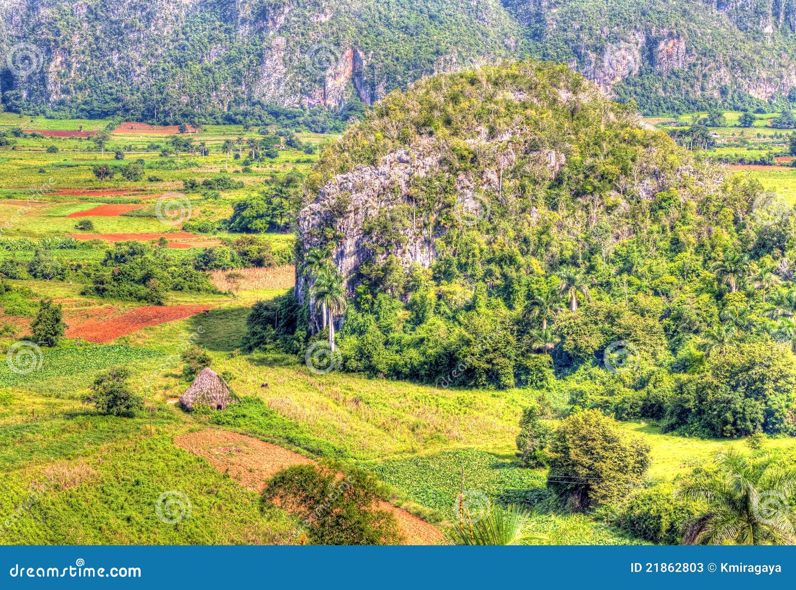 The Vinales valley in Cuba stock image. Image of flora - 21862803