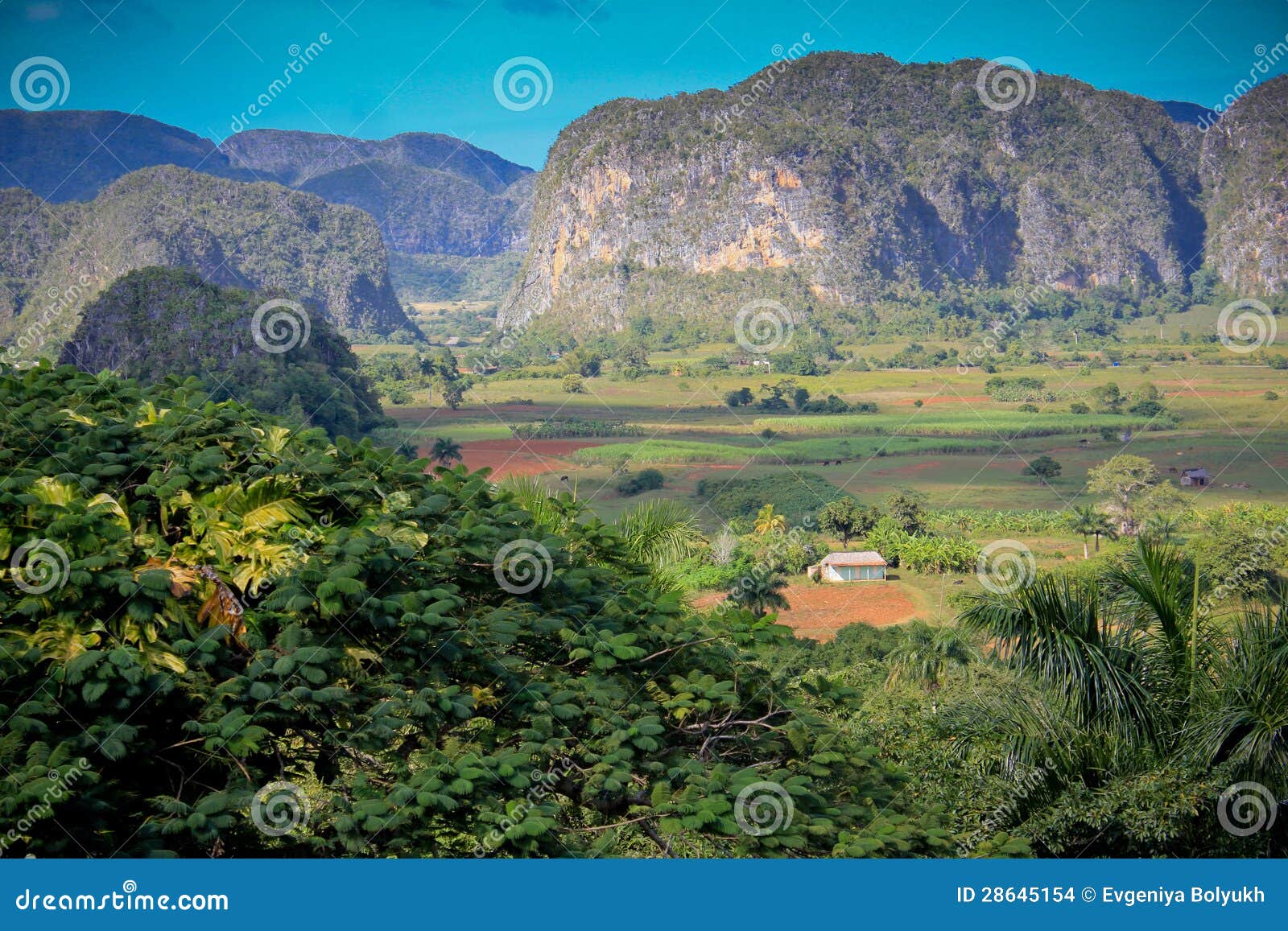 The Vinales valley in Cuba stock photo. Image of land - 28645154