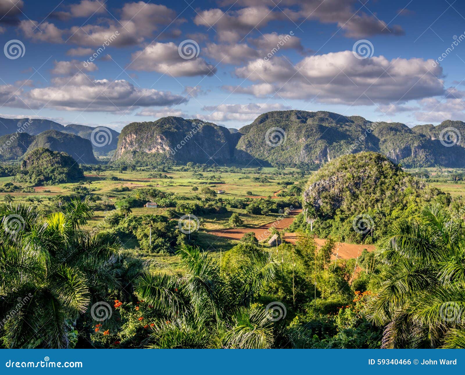 Vinales Valley Cuba stock photo. Image of tobacco, valley - 59340466