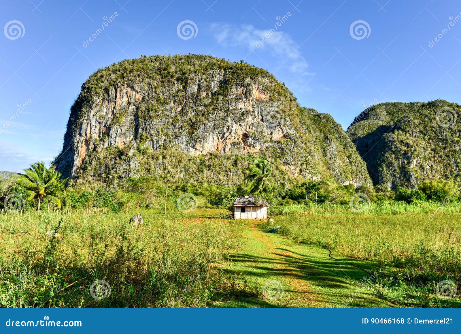Vinales Valley Panorama - Cuba Stock Photo - Image of field, colonial ...