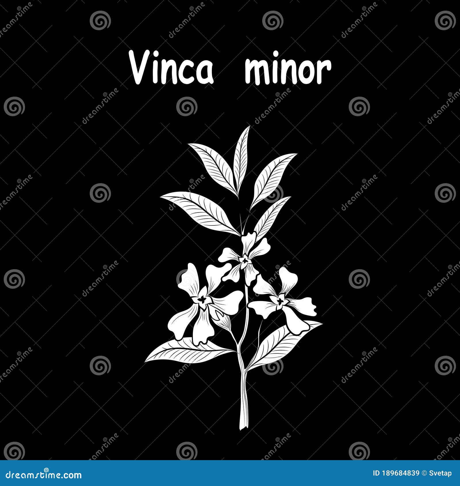 Vinca Cartoons, Illustrations & Vector Stock Images - 887 Pictures to ...