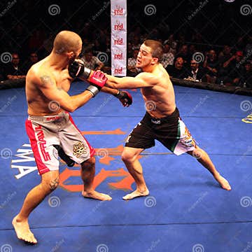 Vincent Ramirez Mixed Martial Artist Editorial Photography - Image of ...