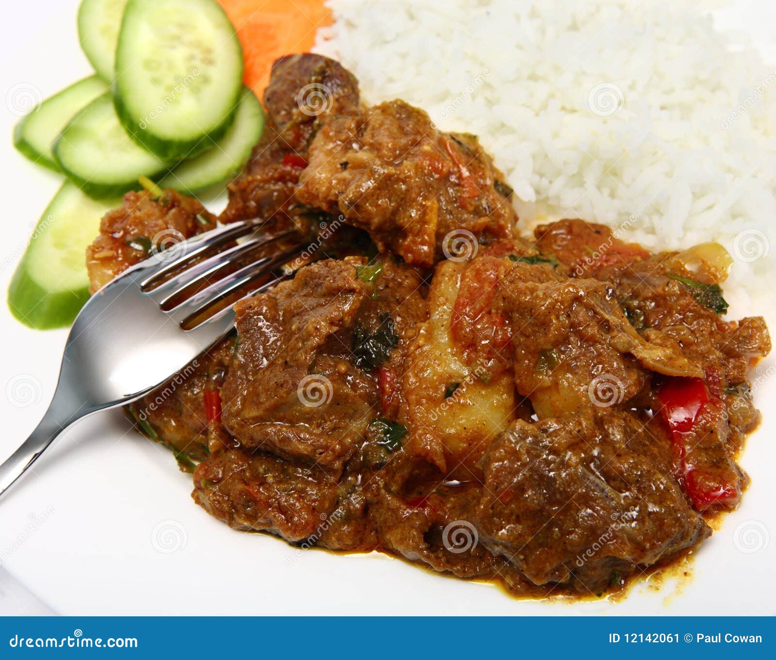 Vindaloo curry stock image. Image of meat, curry, vindaloo - 12142061