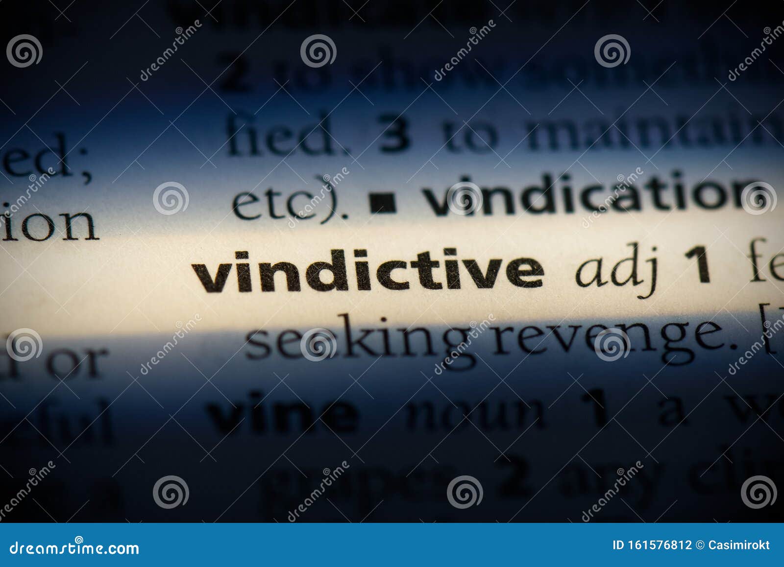 Vindicative stock photo. Image of highlighted, text - 161576812
