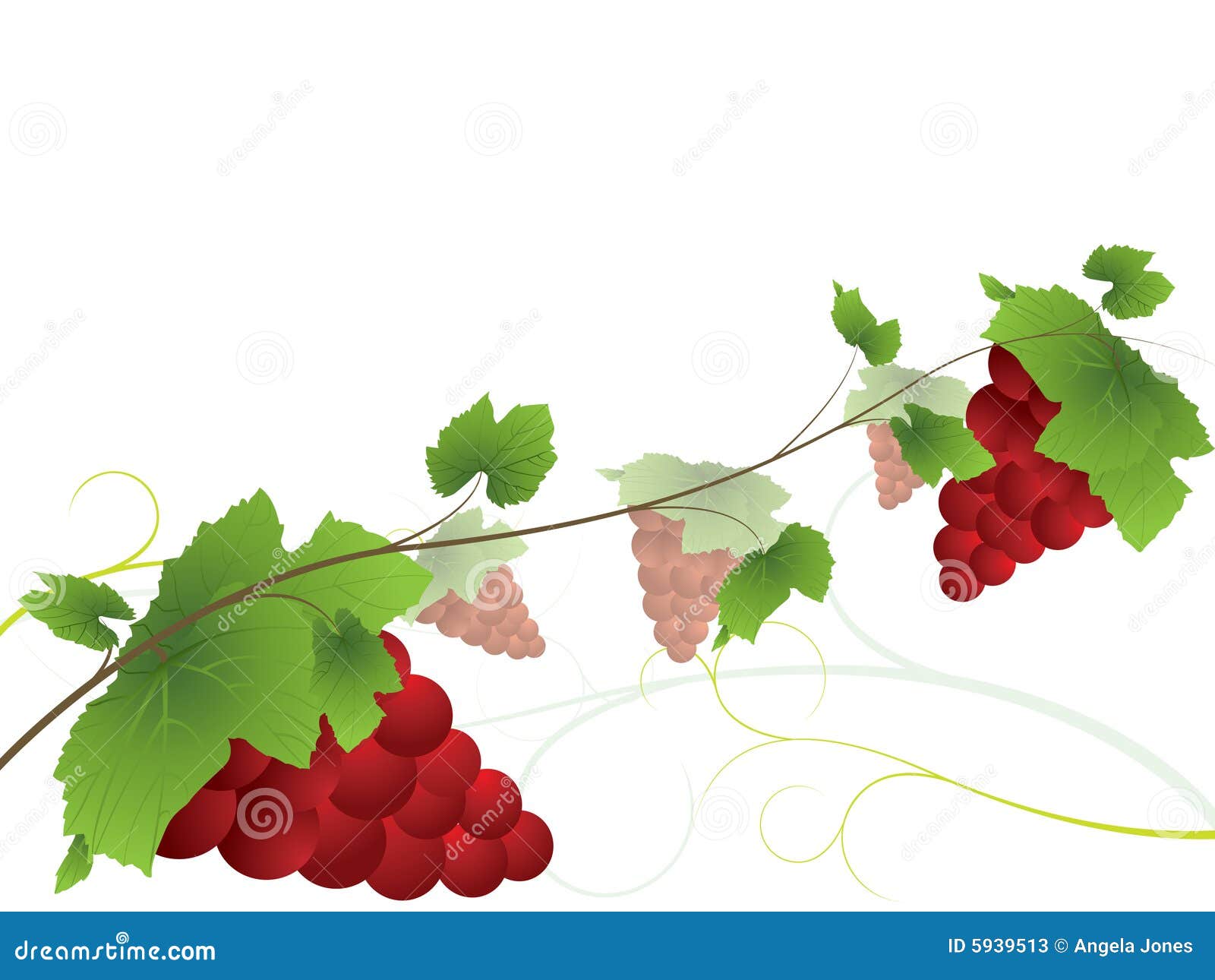 Red Grape Vine Border
