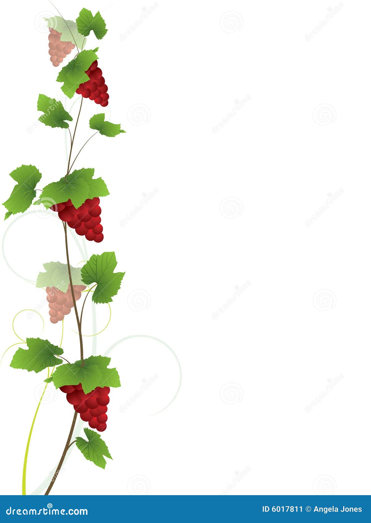 Red Grape Vine Border
