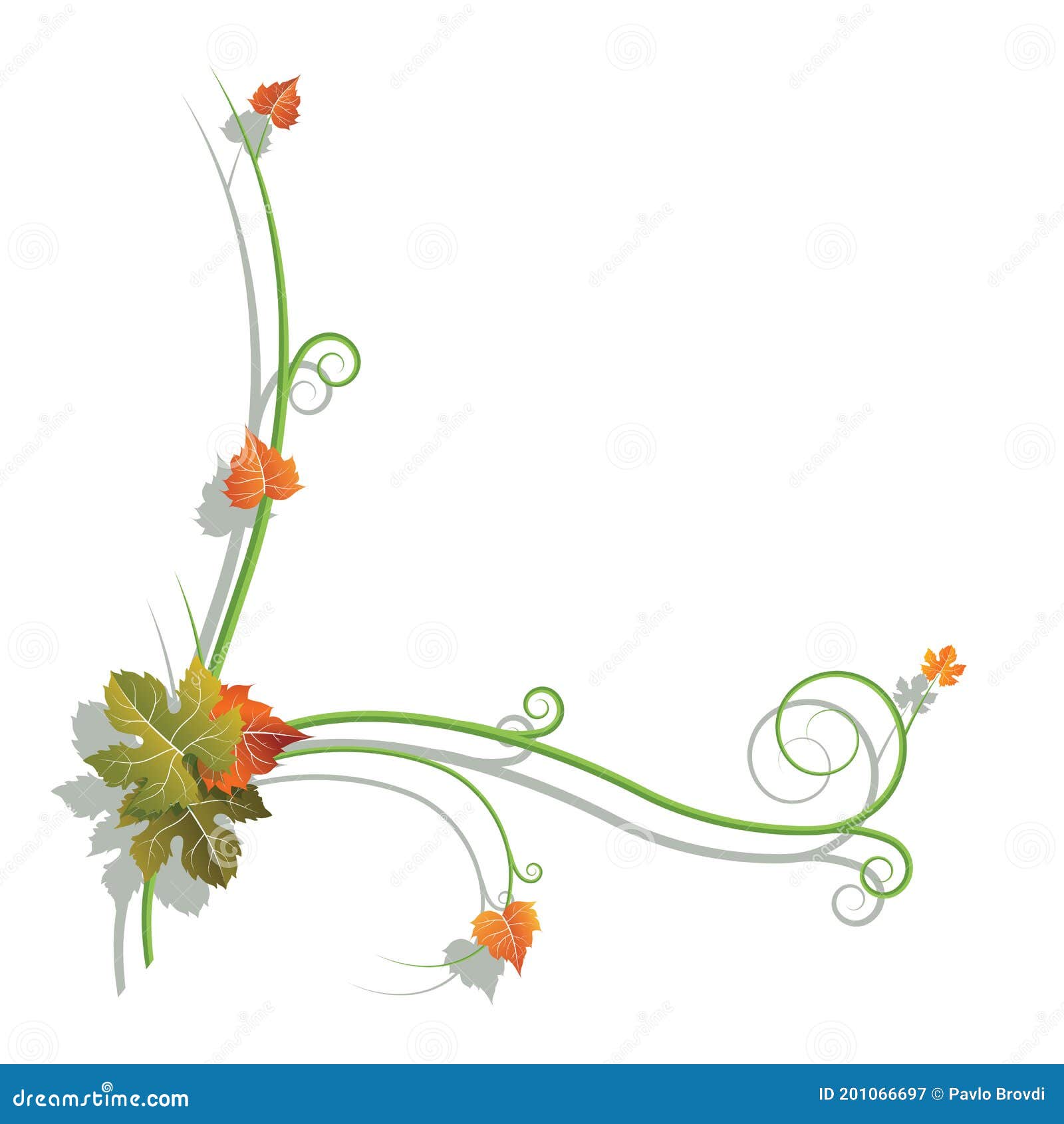 Vine_branch_with_leaves_3 stock vector. Illustration of decoration ...