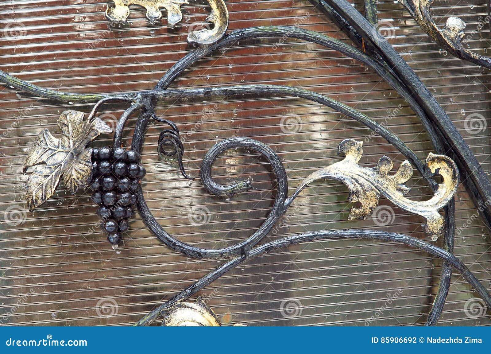 Vine, Branch, Wrought, Iron Stock Photo - Image of bunch, pattern: 85906692