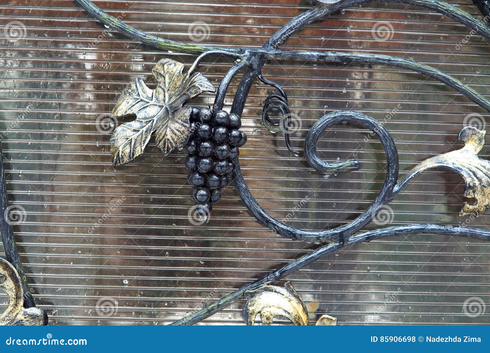 Vine, Branch, Wrought, Iron Stock Photo - Image of garden, leaf: 85906698