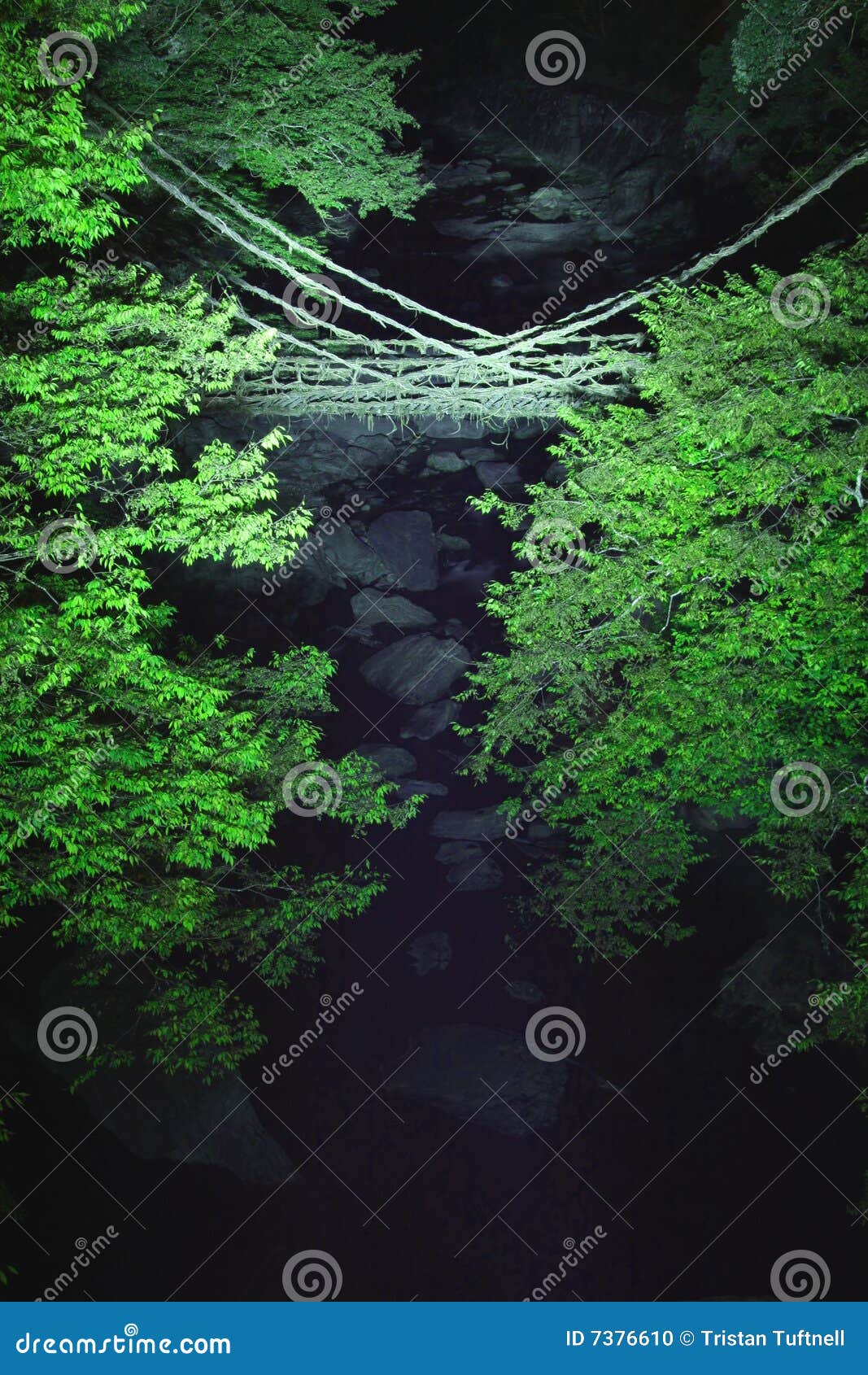 Vine Bridge stock photo. Image of illuminated, night, vine - 7376610