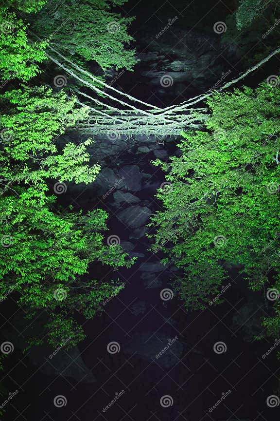 Vine Bridge stock photo. Image of illuminated, night, vine - 7376610