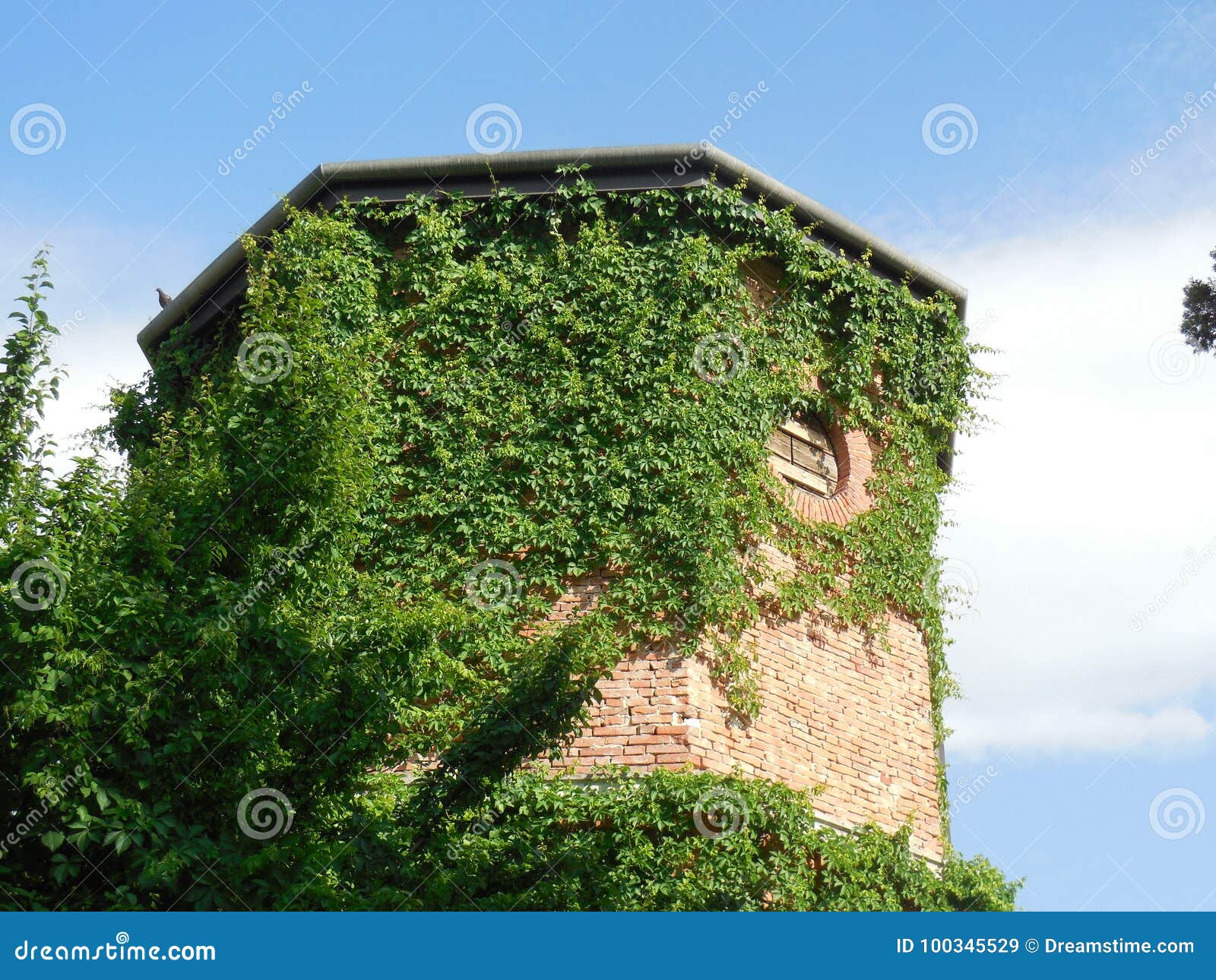 Vine-Covered Brick Tower stock image. Image of window - 100345529