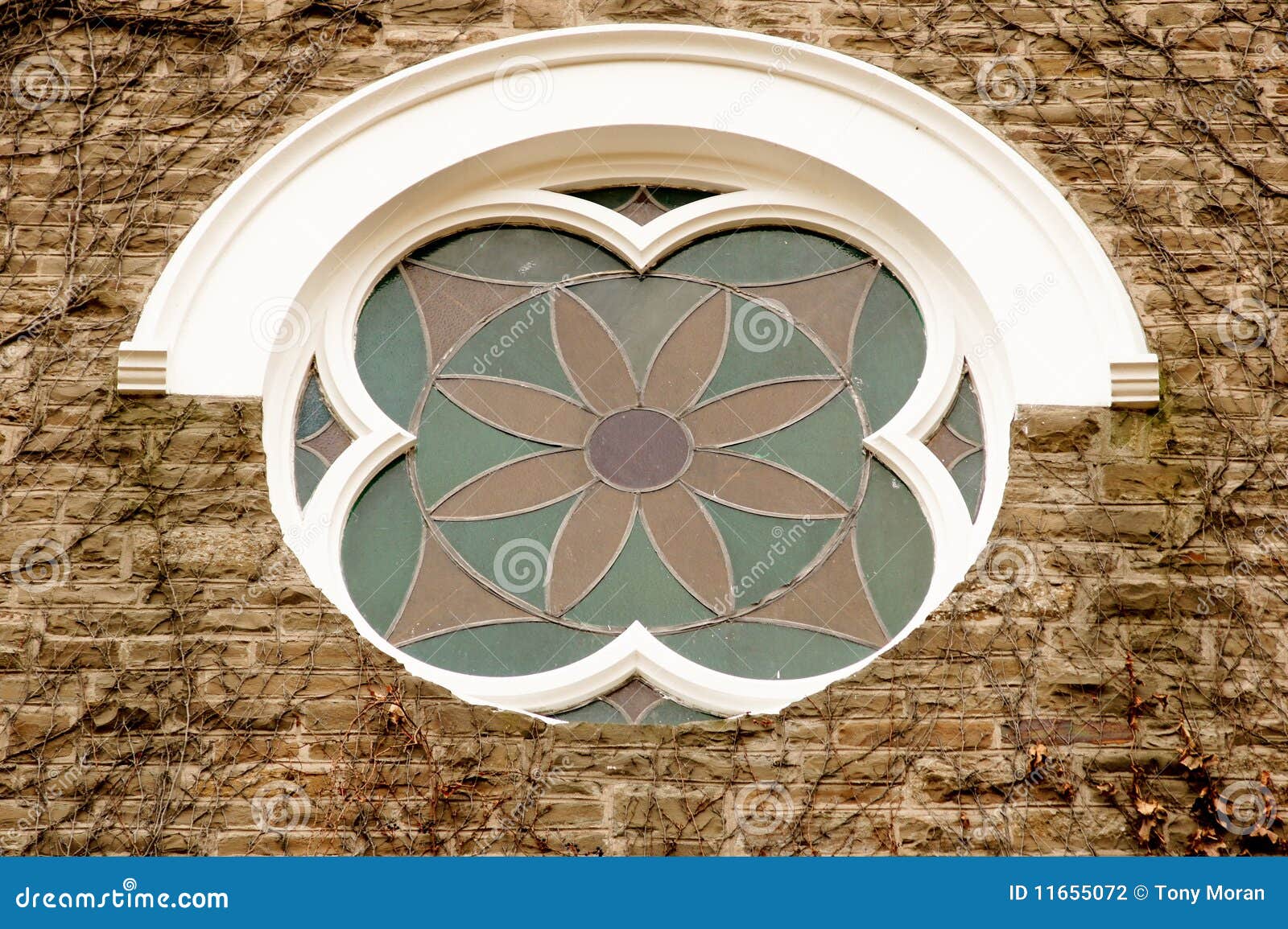 Vine Covered Church Wall with Rose Window Stock Photo - Image of ...