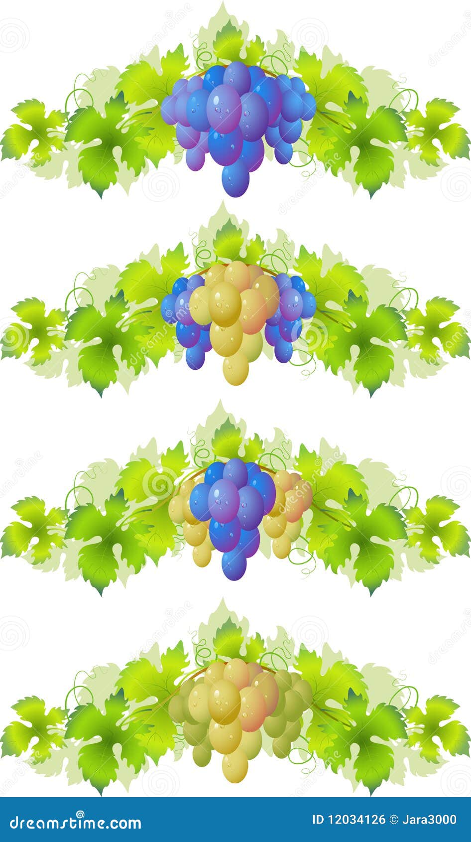 Vine. Design Element stock vector. Illustration of frame - 12034126