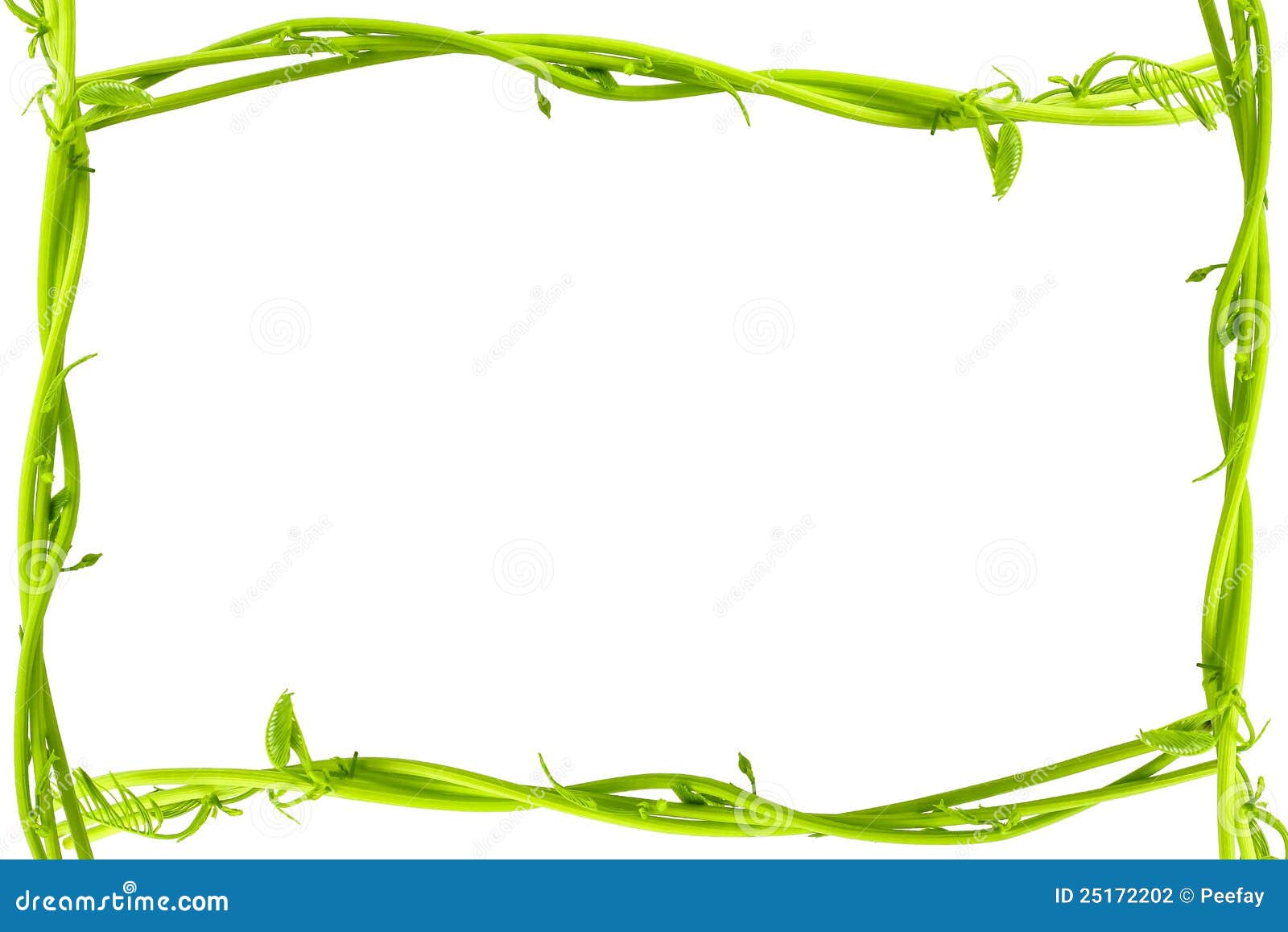Vine frame stock illustration. Illustration of fruit - 25172202