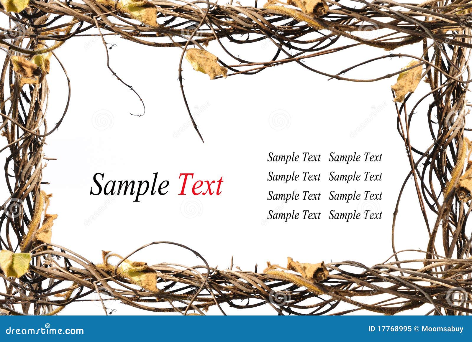 Vine frame isolated stock illustration. Illustration of painting - 17768995