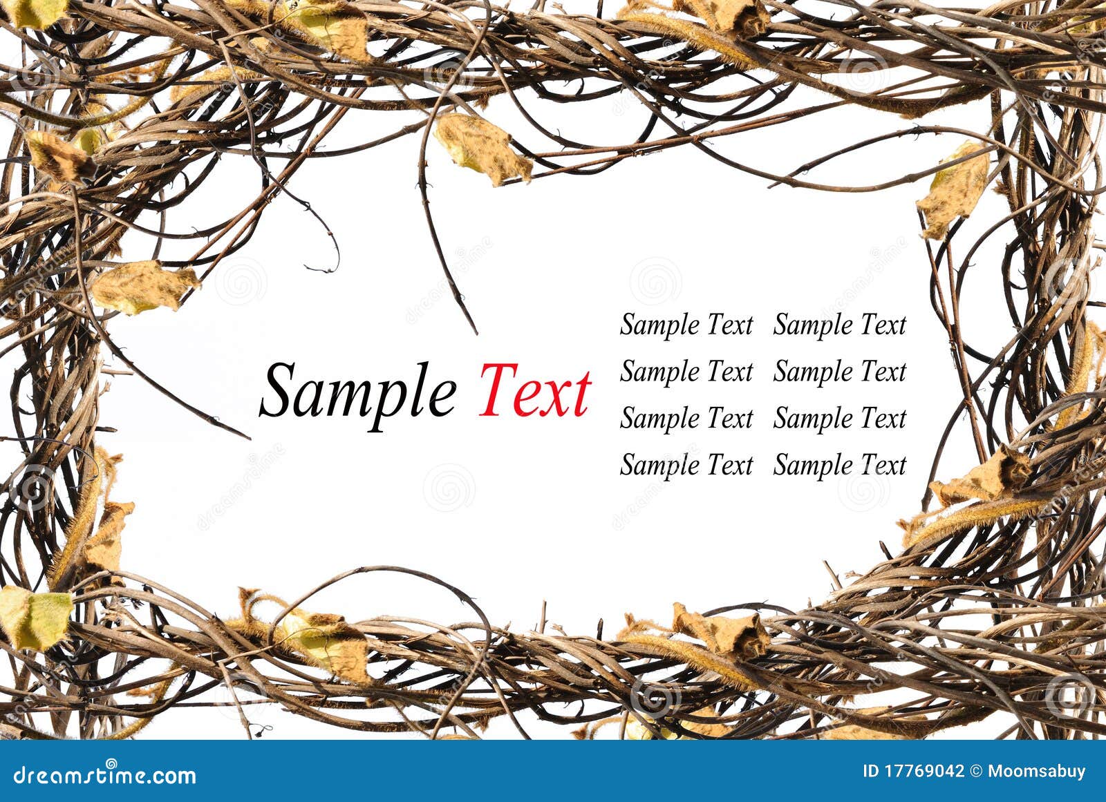 Vine frame isolated stock illustration. Illustration of curve - 17769042