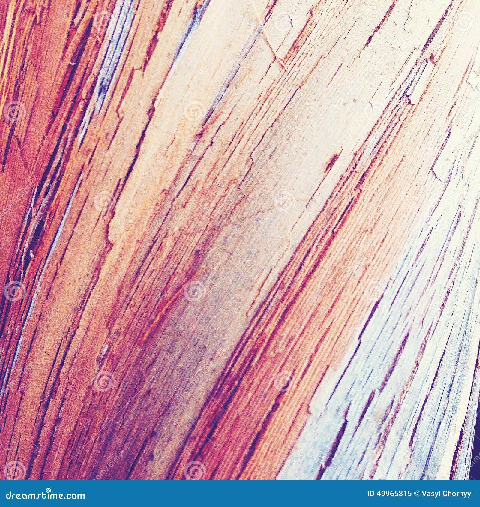 Vine grape tree stock image. Image of hardwood, line - 49965815