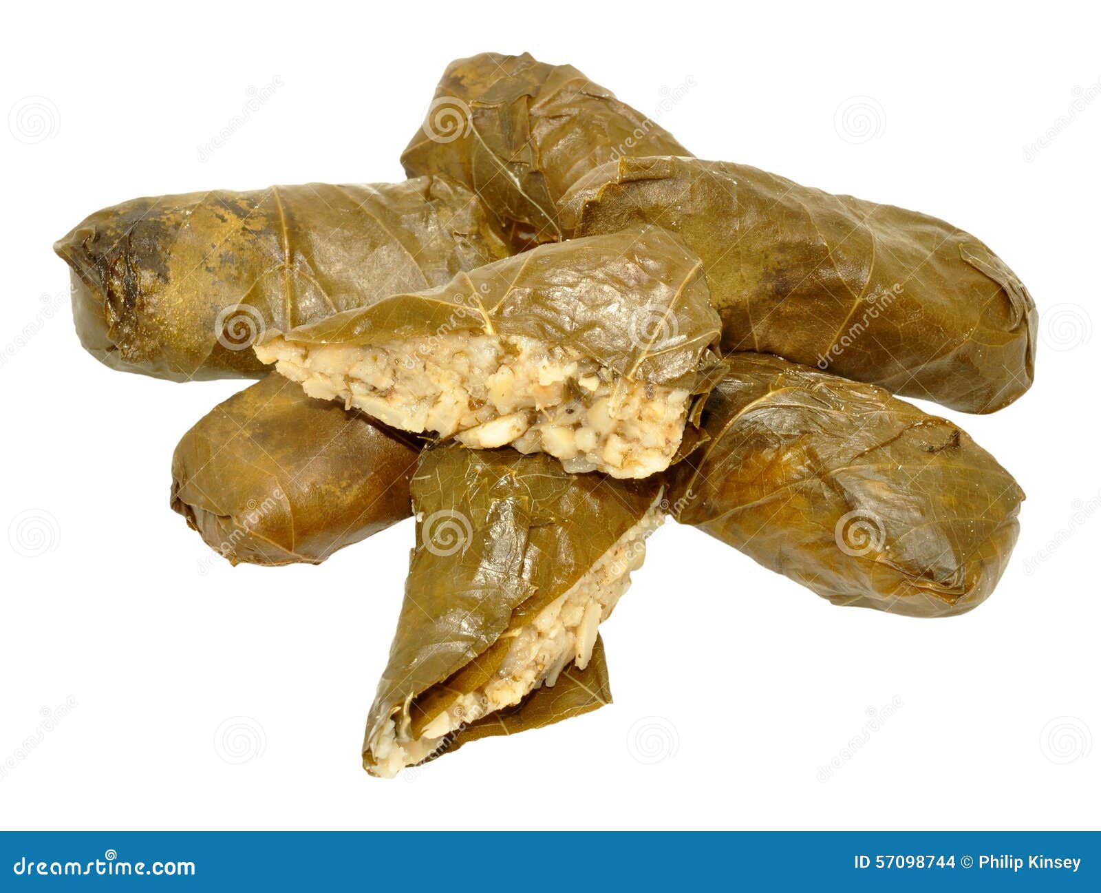 Vine Leaves Stuffed with Rice and Herbs Stock Photo - Image of ...