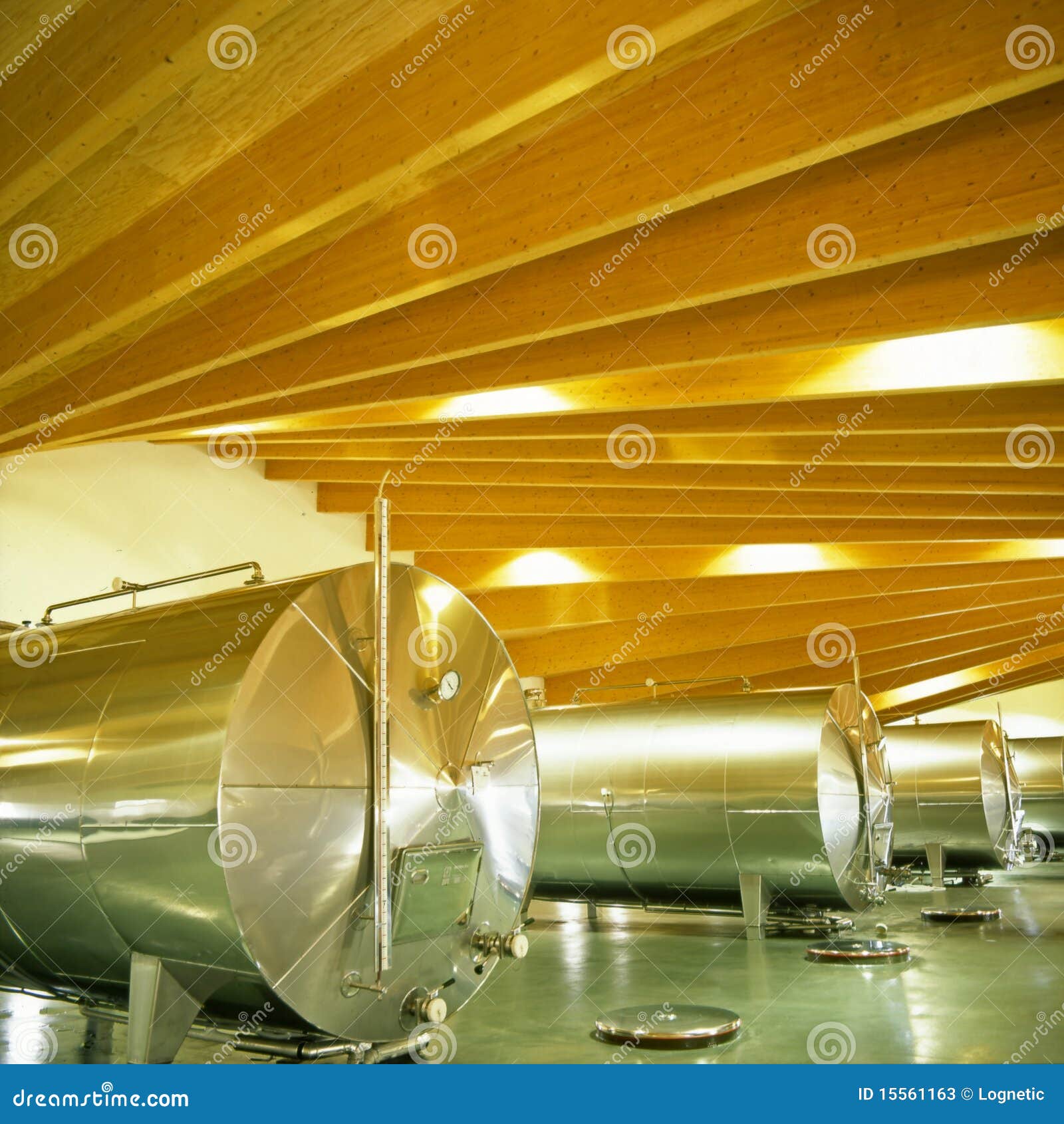 Vine production stock image. Image of food, outdoors - 15561163