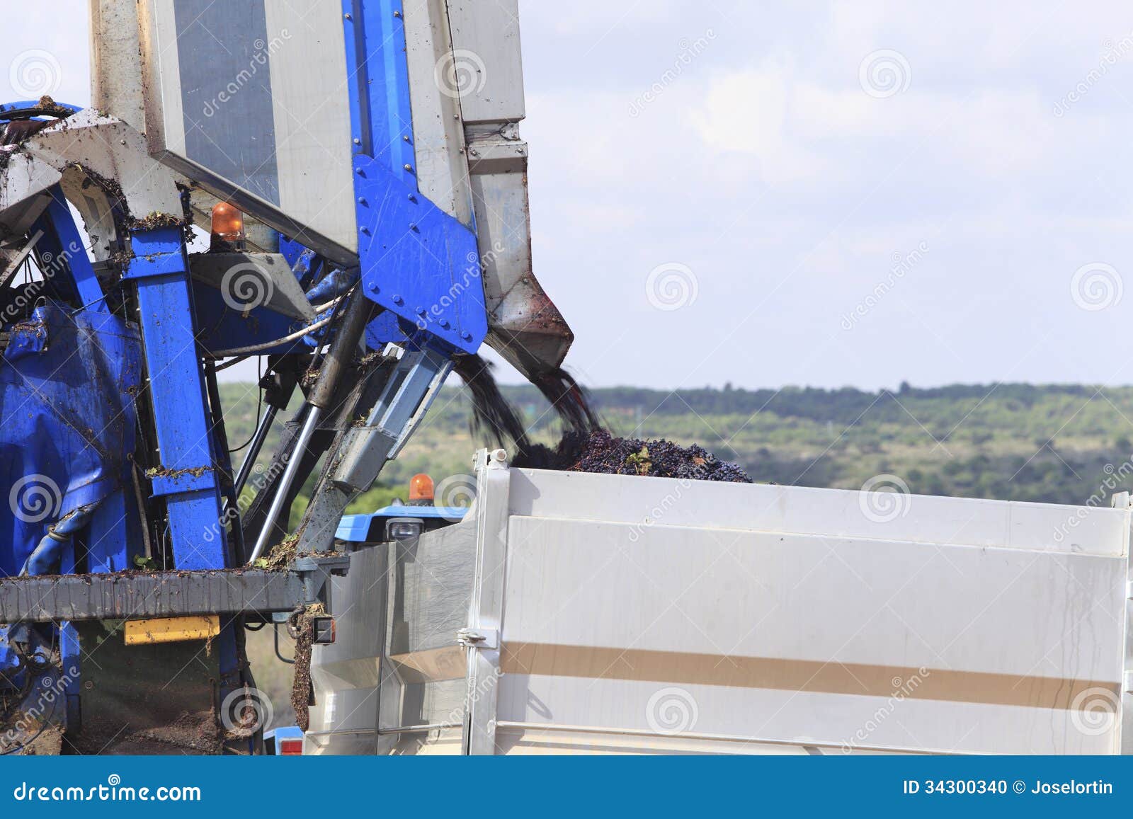 Vine production stock photo. Image of horizontal, spain - 34300340