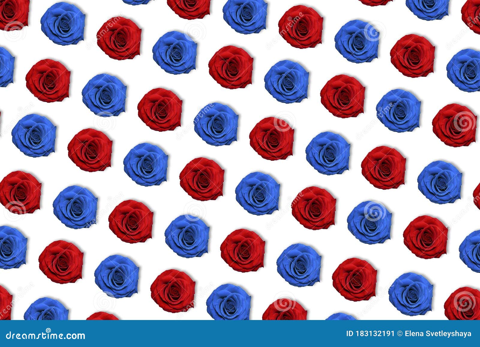 Vine Red and Navy Blue Rose Diagonal Pattern Stock Image - Image of ...