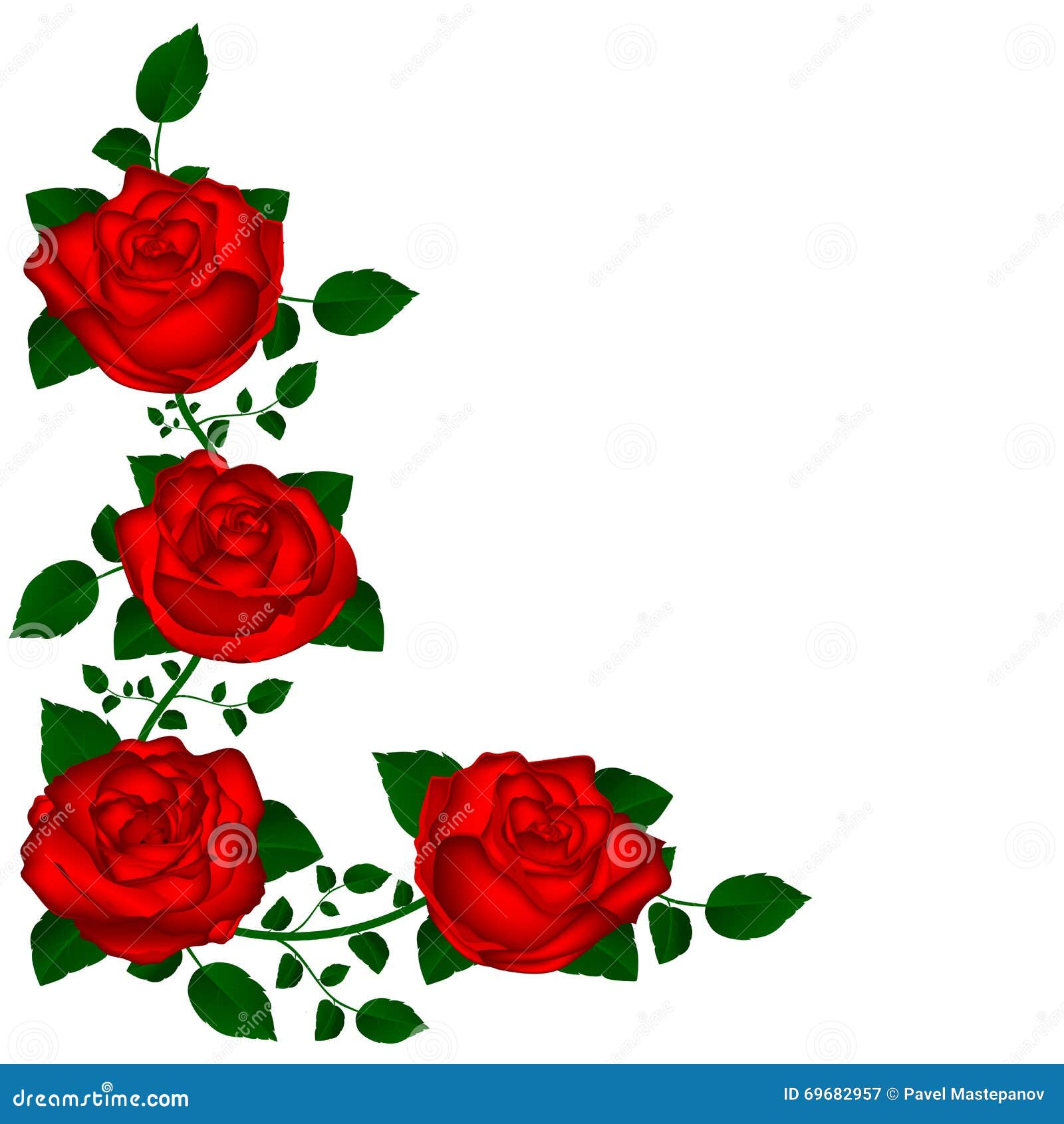 Vine of red roses stock vector. Illustration of curve - 69682957