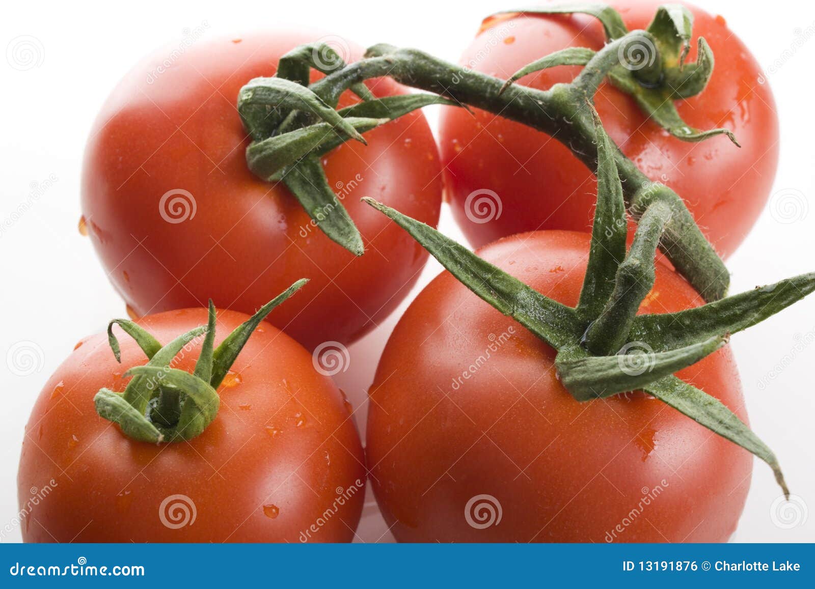Vine Ripened Tomatoes. stock photo. Image of snack, fresh - 13191876