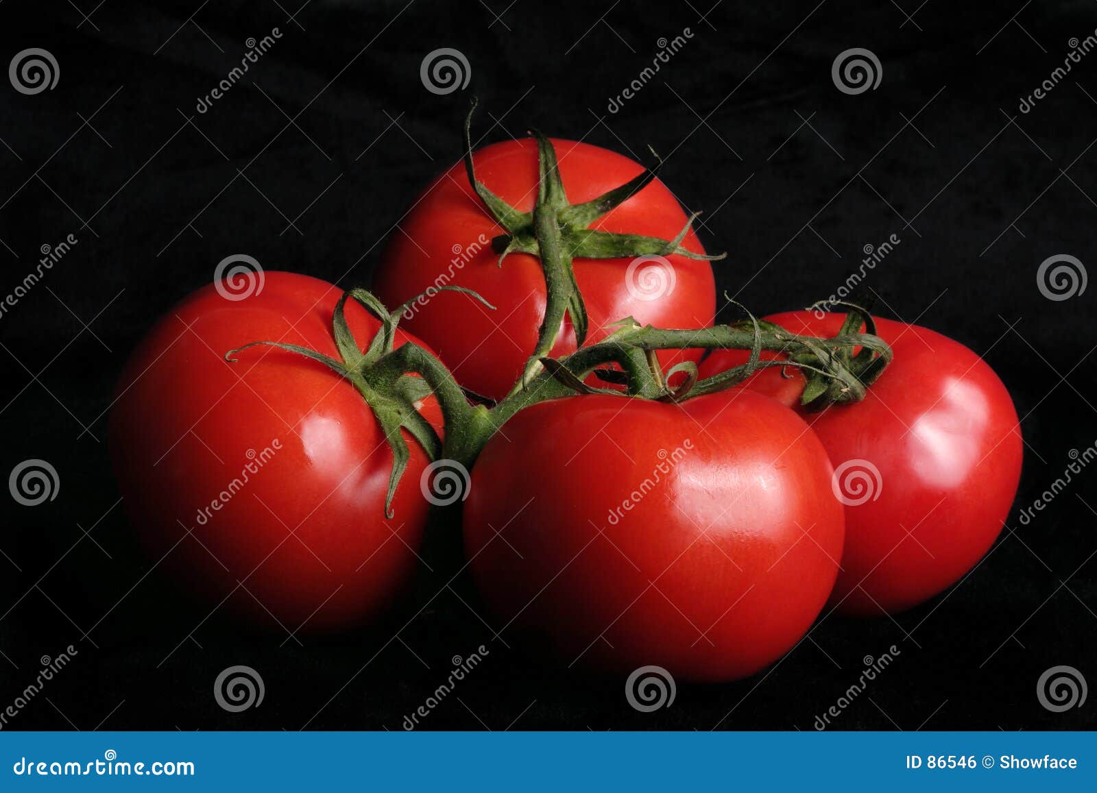 Vine ripened tomatoes stock photo. Image of diet, fruit - 86546