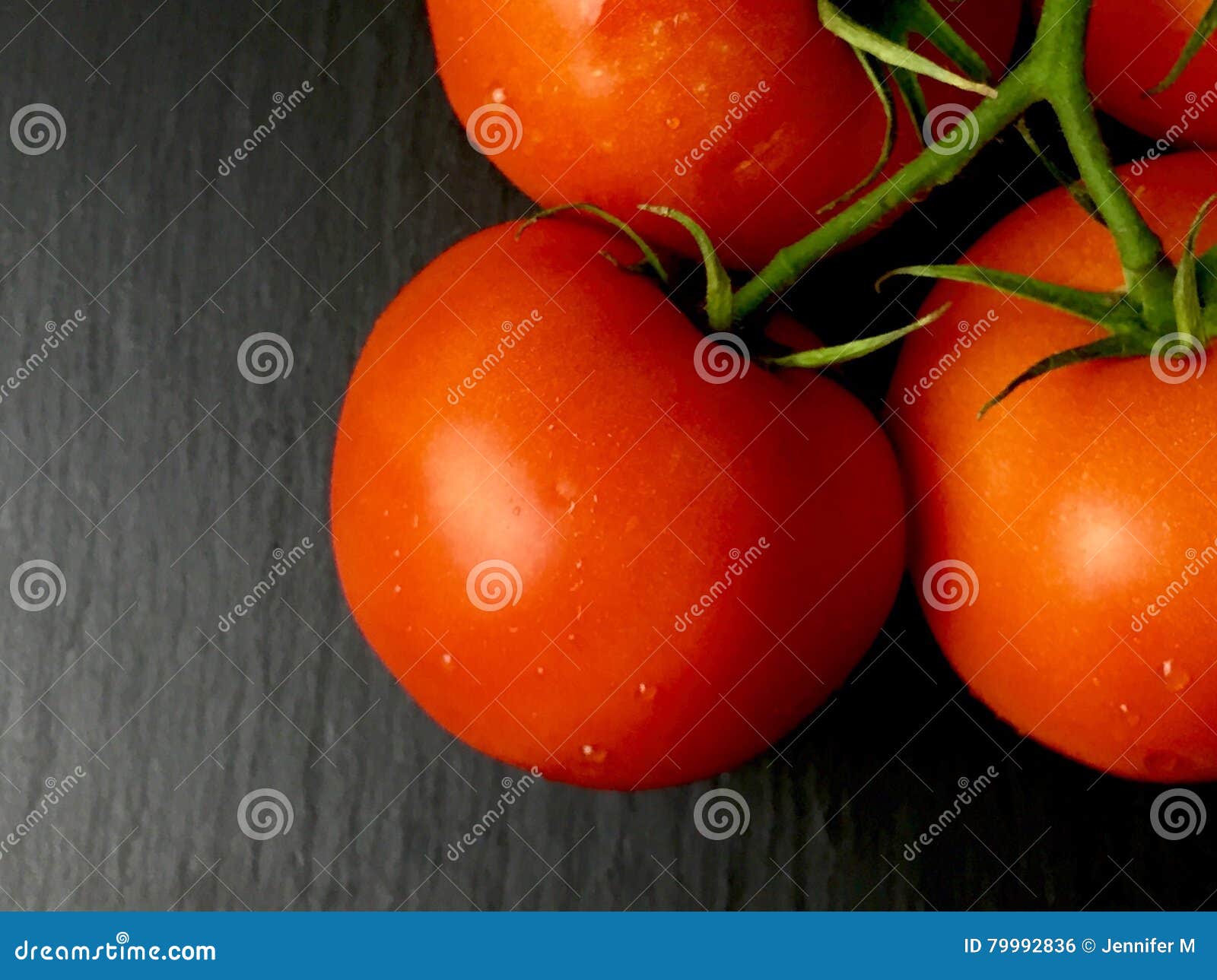 Vine ripened tomatoes stock photo. Image of vivid, vine - 79992836