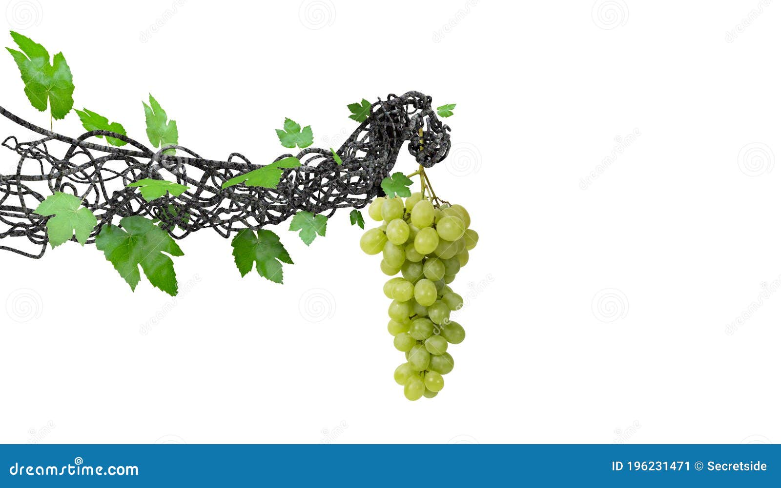 Vine in the Shape of an Arm Holding Grapes Stock Illustration ...