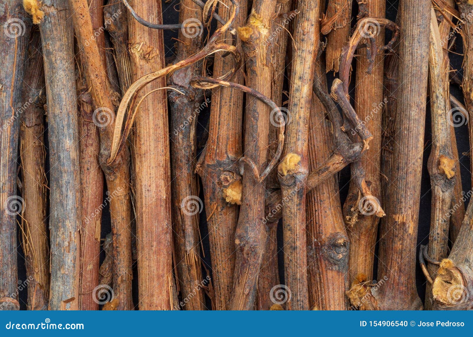 Vine Shoot Texture Collection of Vegetable and Natural Fibers. Stock ...