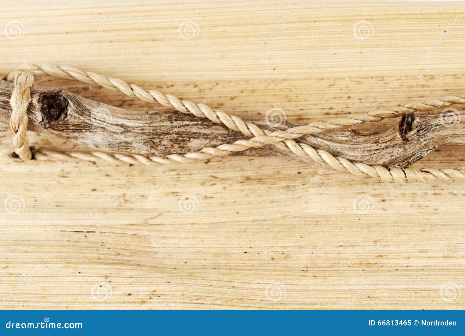 The Vine, Tied with a Rope. Stock Image - Image of empty, write: 66813465