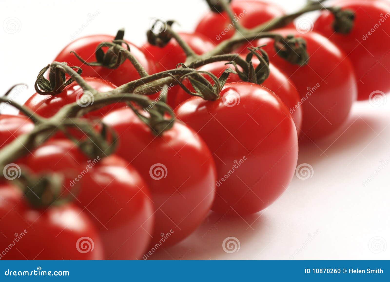 Vine Tomatoes stock photo. Image of macro, group, green - 10870260