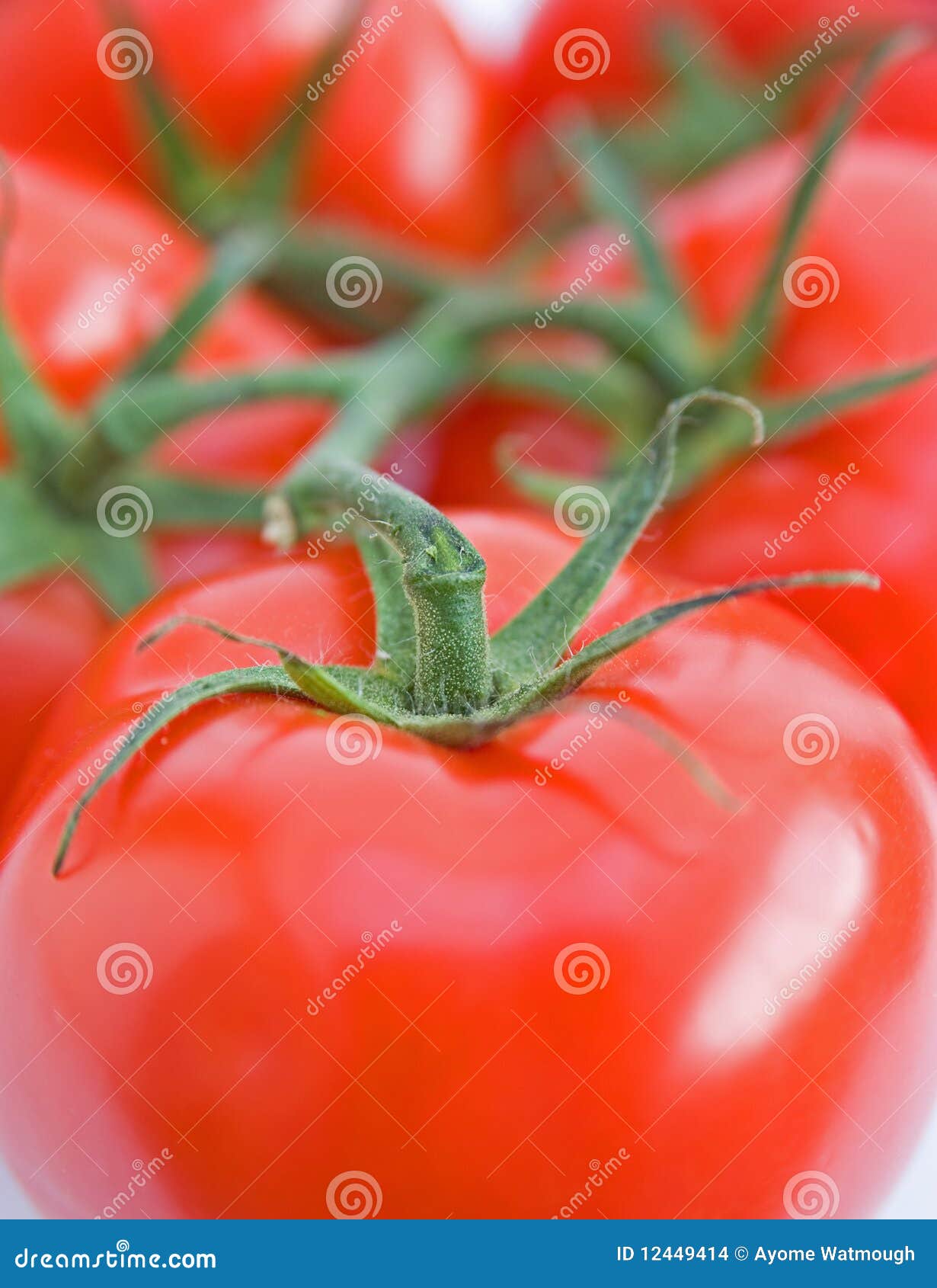 Vine tomatoes. stock photo. Image of home, kitchen, cooking - 12449414