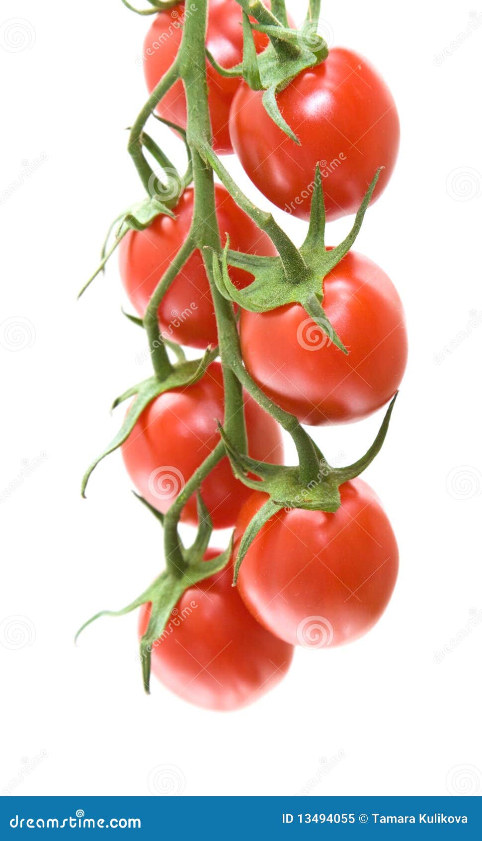 Vine tomatoes stock image. Image of closeup, macro, vegetables - 13494055